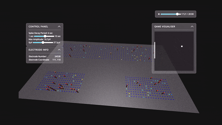 Mastering Atari Games with Natural Intelligence